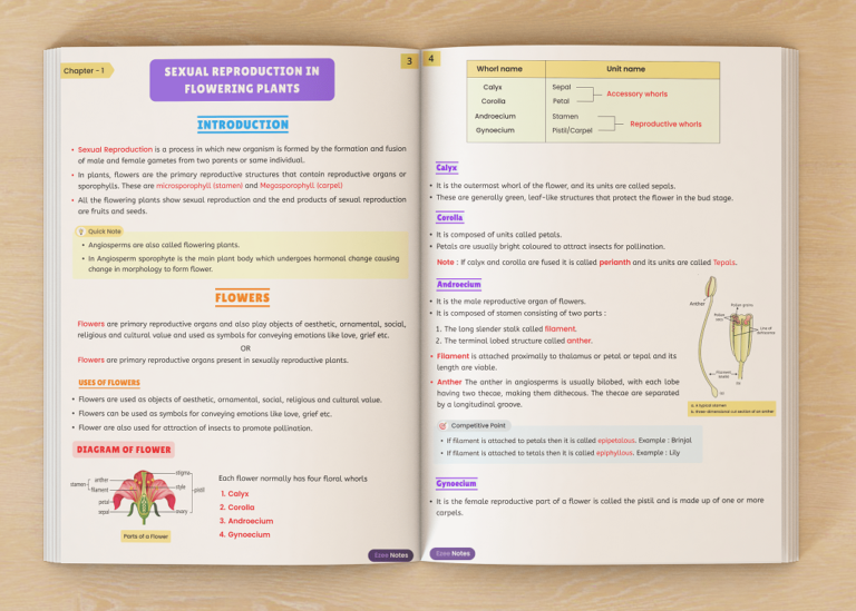 .Physics + Chemistry + Biology Ezee Notes – Class 12 (COMBO) – Ezee Notes